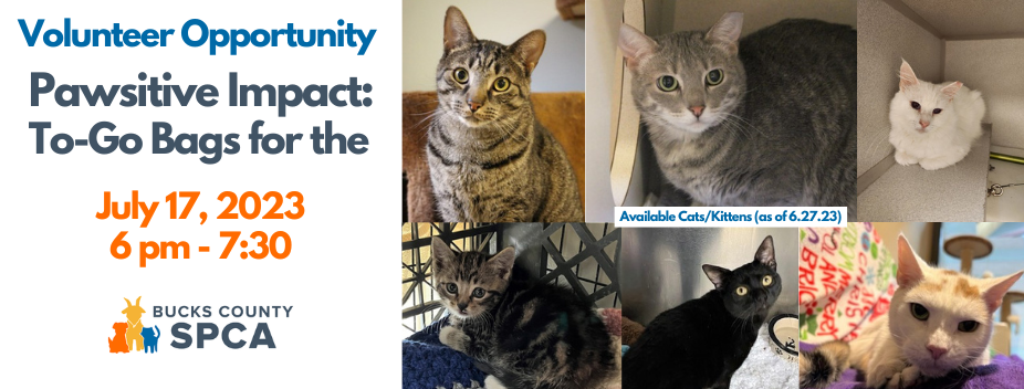 Gigi Project - Help Assemble To-Go Bags For the Bucks County SPCA ...